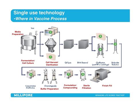 Use Of Single Use Technology In Aseptic Processing Of Vaccines Appli…
