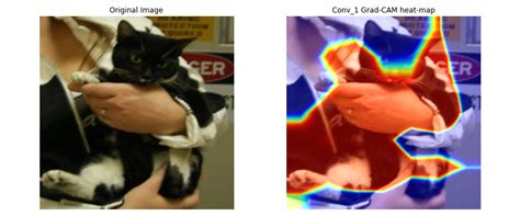 understanding your algorithm with grad cam