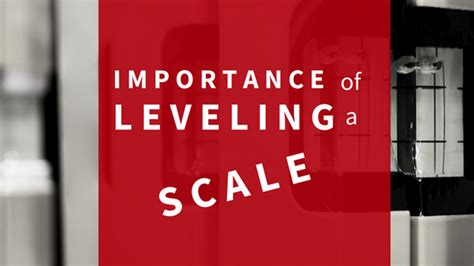 Why Leveling A Scale Is Important Scales Plus