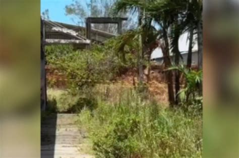 Pai Acusado De Matar Filho Autista De 11 Anos E Ocultar Corpo é Preso