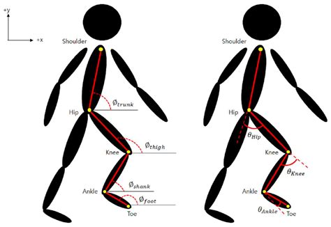 Bioengineering Free Full Text Improving Gait Analysis Techniques With Markerless Pose