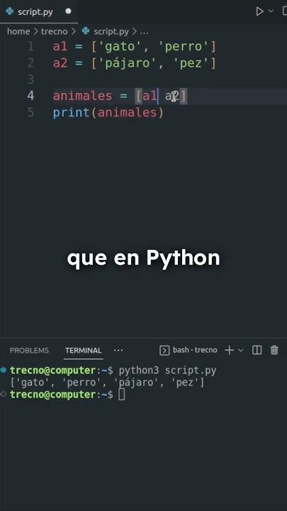 Cómo Combinar Listas En Python 🗒️ Python Programacion Listas Combinar Programación Trecno