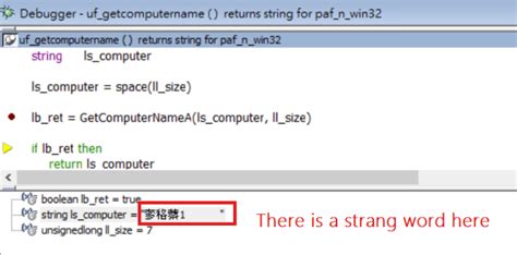 The External Api Function Returns Garbled Characters Powerbuilder