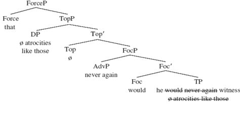 Rizzis Classification Of Force P Top P And Foc P
