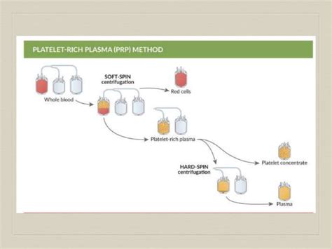 Buffy Coat Method Of Component Preparation Pptx
