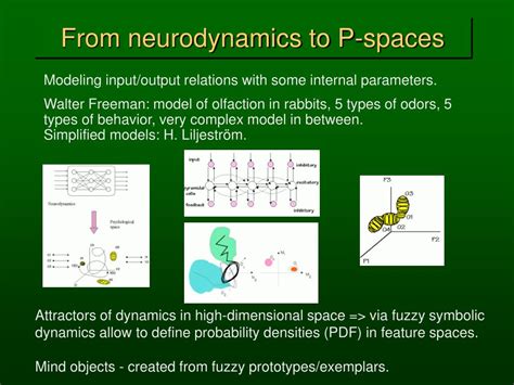 Ppt Attractor Neural Networks And Concept Formation In Psychological Spaces Mind From Brain