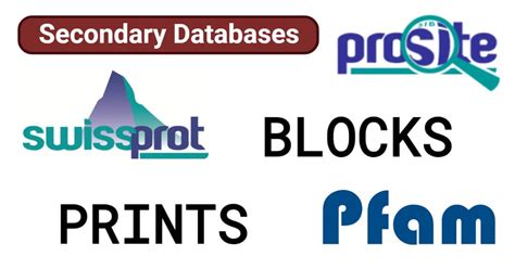 Secondary Databases Definition Types Examples Uses Bioteck Ink