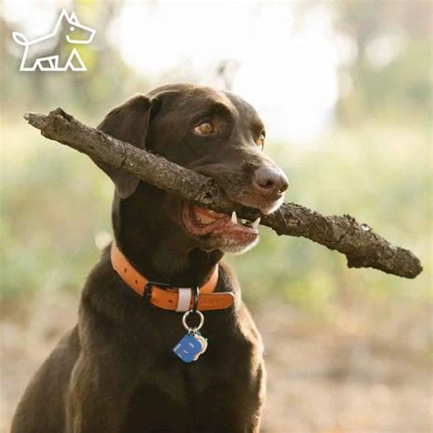 Evidence Based Design For Interiors Artofit