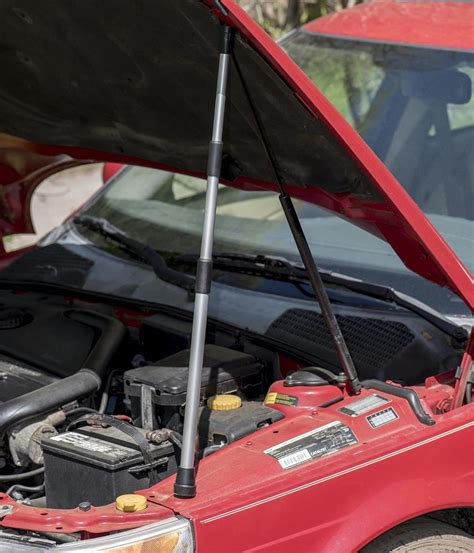 Car Hood Lifts At Lynda Bowman Blog