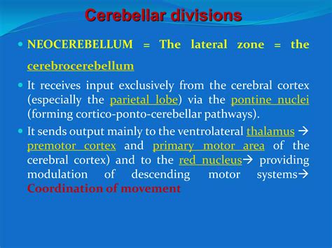 Cerebellum And Ataxia Pdf