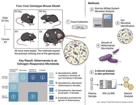Benard Ogola Research And Publications