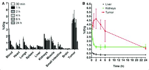 A Ex Vivo Biodistribution Of 177 Lu Fapi 02 After Administration To