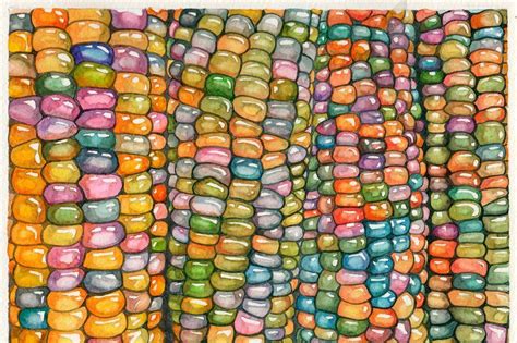Decorative Corn Watercolor Illustration