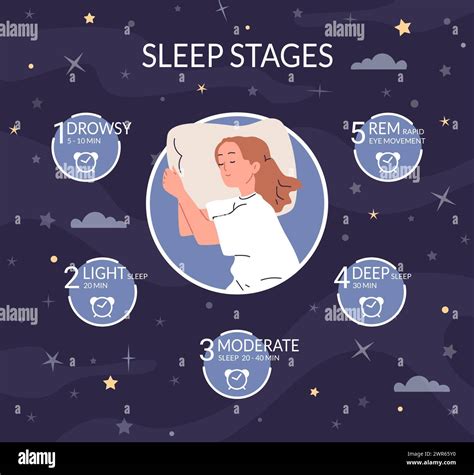 Sleep Stages Sleeping Cycle Routine Science Infographic Stage Healthy