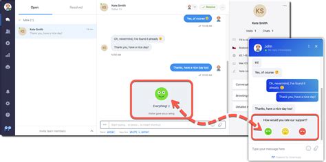 smartsupp — basic chat box settings