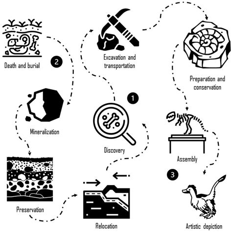Watkins When Are Fossils Data Philosophy Theory And Practice In