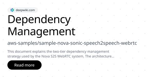 Dependency Management Aws Samplessample Nova Sonic Speech2speech