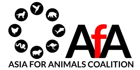 Smacc Report 2021 Vietnamese Smacc