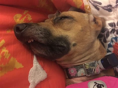 Ruby Blank Template Imgflip