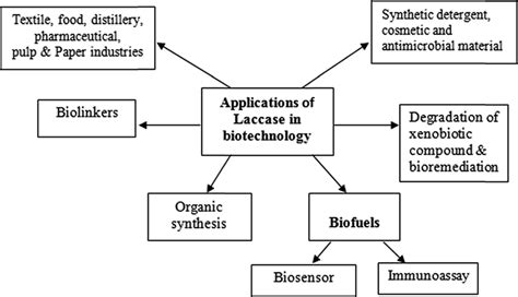 Various Applications Of Laccases In Biotechnology Download