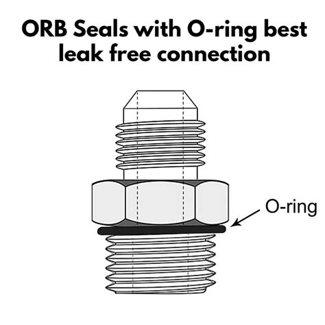 Cbm Motorsports™ 8an To 10 Orb Fitting