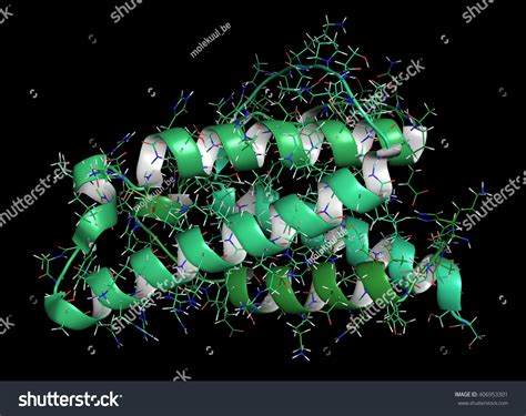 Interleukin 4 Il4 Cytokine Protein 3d Stock Illustration 406953301