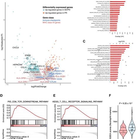 Single Cell Characterization Of Immune Cells Via Scrna Seq A