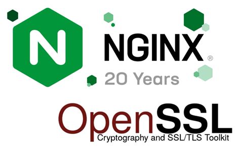 사설 ca 인증서 발급 및 nginx tls ssl 적용과 캐시 설정