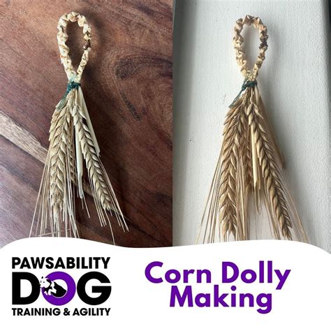 Corn Dolly Making Pawsability Dog Training