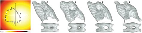 Shape Space Exploration Of Constrained Meshes