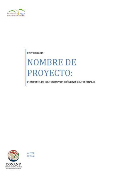 Formato Para Presentacion De Proyectos De Practicas Profesionales 2 Pdf