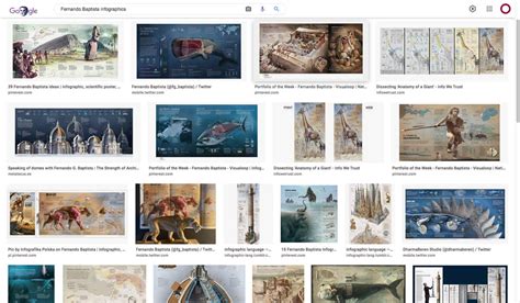 Projektant Infografiki Fernando Baptista Infografika Polska