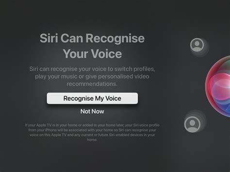 Voice Of Siri