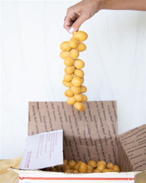 Exploring The Delicious World Of Yellow Barhi Dates Coachellas Best