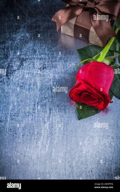 Expanded Rose Wrapped Tbox With Bow On Scratched Metallic Background