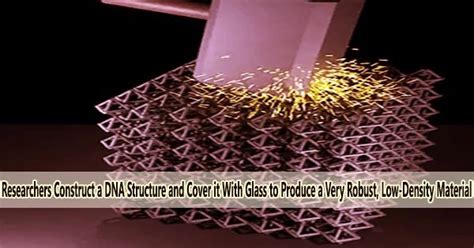 Researchers Construct A Dna Structure And Cover It With Glass To