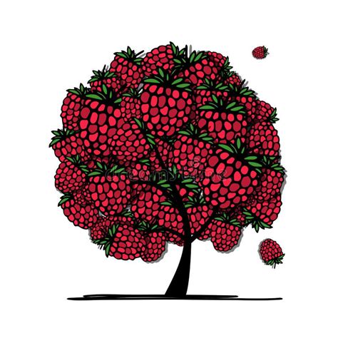 Raspberry Tree Sketch For Your Design Stock Vector Illustration Of