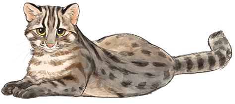 ツシマヤマネコ保護活動方針対馬野生生物保護センター