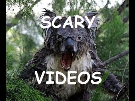 Scary And Funny Videos Compilation Youtube