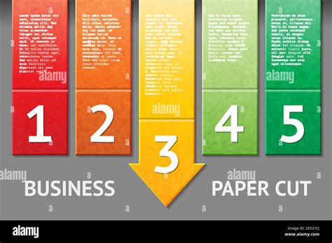 Business Paper Options Cut Template Vector Illustration Stock Vector