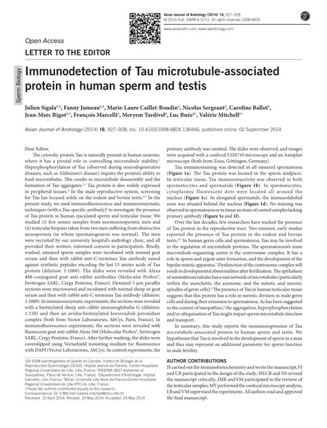 Pdf Immunodetection Of Tau Microtubule Associated Protein In Human