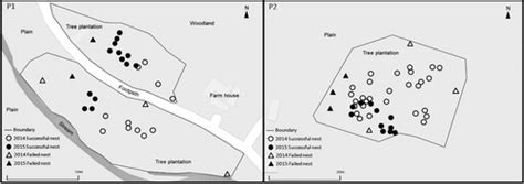 Full Article The Relationship Between Nest Location And Breeding