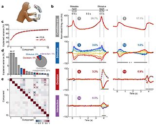 Introduction To Neural Computation Brain And Cognitive Sciences MIT OpenCourseWare