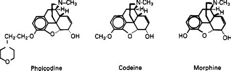 Figure 1 From Pharmacokinetics Of Pholcodine In Healthy Volunteers