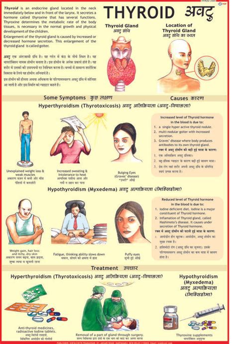 Thyroid Chart At 275 00 Inr In Delhi Delhi Vidya Chitr Prakashan