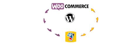 [wordpress] 外掛分享： Payment Gateway For Mtn Momo On Woocommerce 一介資男