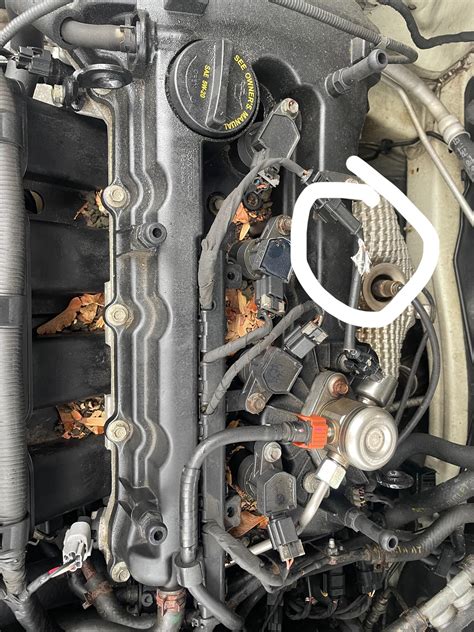 Chewed wire need help identifying it. 2012 optima 2.4l : r/MechanicAdvice