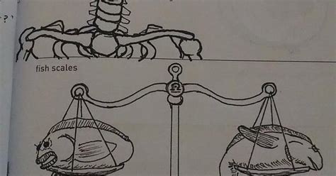 Samples From 642 Tiny Things To Draw Album On Imgur