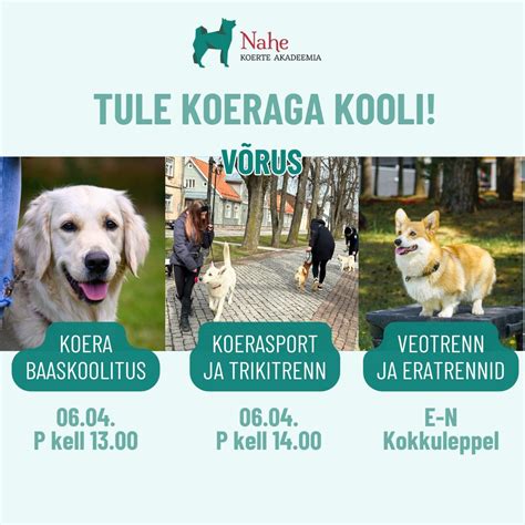 Nahe Tule Oma Koeraga Nahe Koertekooli Trennidesse Võrus Meil On Tulemas Põnevad Treeningud