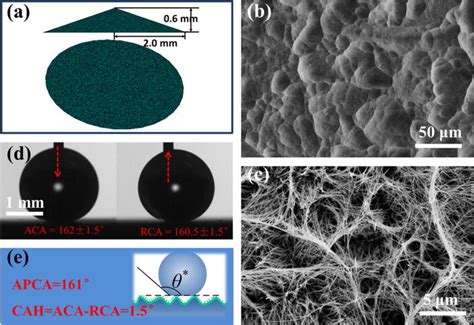 Bouncing Dynamics Of Impact Droplets On The Convex Superhydrophobic Surfaces Applied Physics